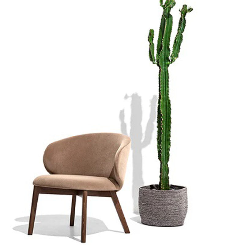 Tuka Lounge Chair – Connubia – Viesso