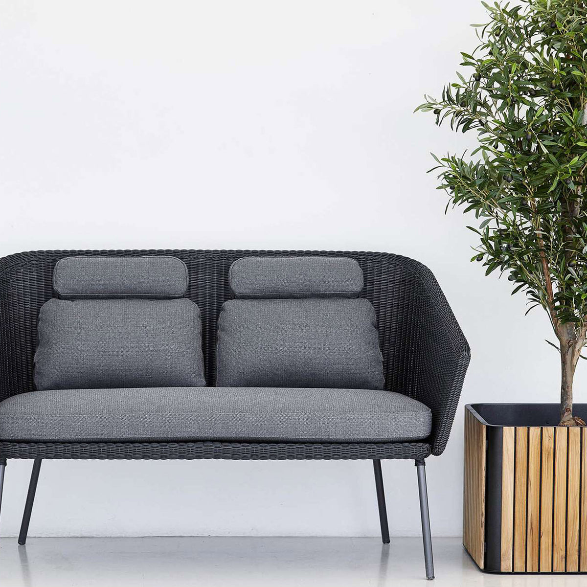 Combine Planter – Cane-Line – Viesso