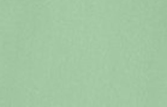 Mint Green Plastic (Sample) – Toou (samples) – Viesso