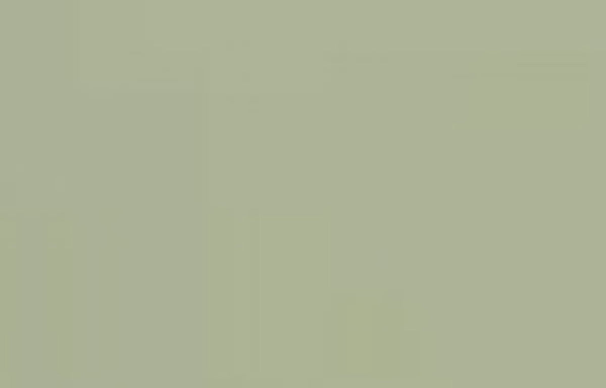 Olive Plastic (Sample) – Toou (samples) – Viesso
